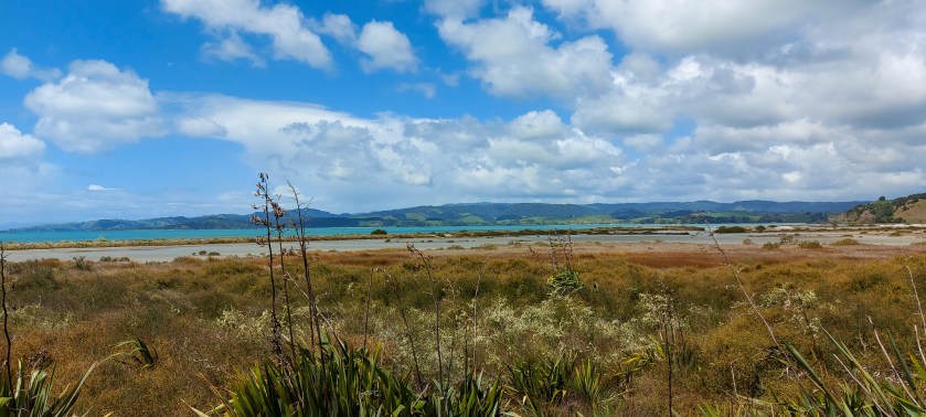 An Easy Day Trip to 4 Places: East Auckland – Life With Janet