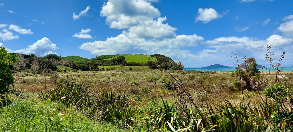 An Easy Day Trip to 4 Places: East Auckland – Life With Janet