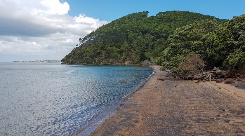 Cornwallis Beach: One of Auckland/Tāmaki Makaurau’s Best Kept Secrets ...