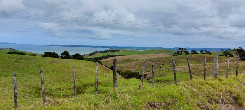 Tinopai: Small and Peaceful Coastal Settlement on the Kaipara Harbour ...
