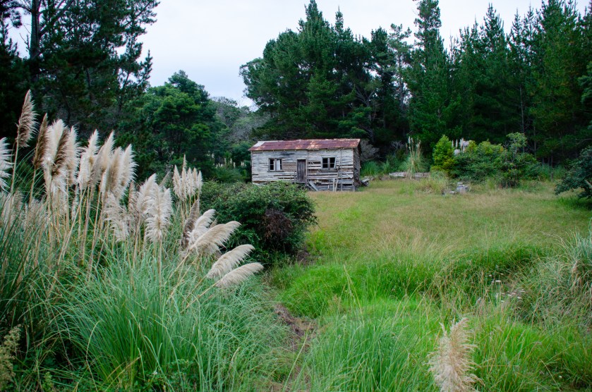 Tinopai: Small and Peaceful Coastal Settlement on the Kaipara Harbour ...