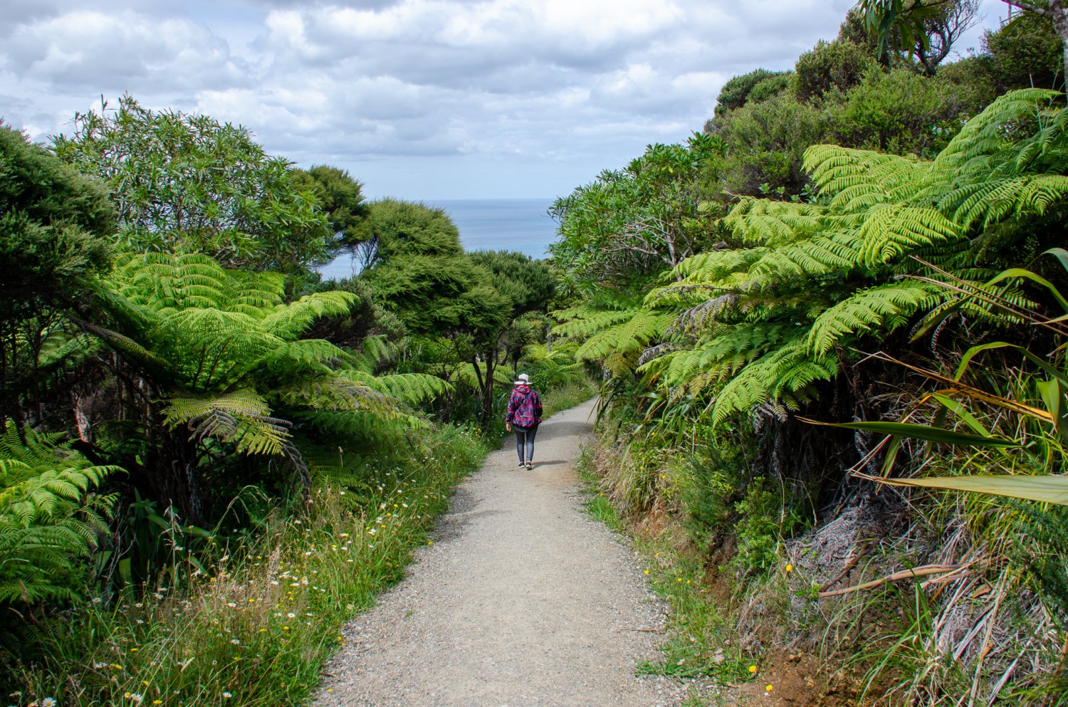 Mercer Bay Loop Walk – Cliff Top Walk with Great Views – Life With Janet