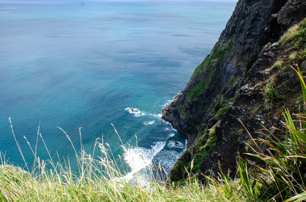 Mercer Bay Loop Walk – Cliff Top Walk with Great Views – Life With Janet