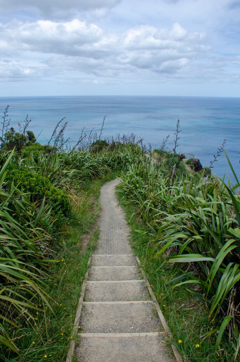 Mercer Bay Loop Walk – Cliff Top Walk with Great Views – Life With Janet