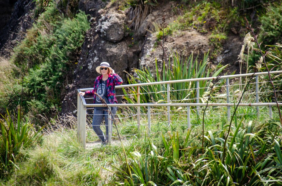Mercer Bay Loop Walk – Cliff Top Walk with Great Views – Life With Janet