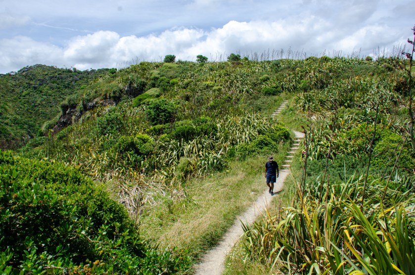 Mercer Bay Loop Walk – Cliff Top Walk with Great Views – Life With Janet