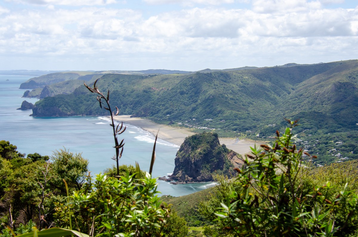 Mercer Bay Loop Walk – Cliff Top Walk with Great Views – Life With Janet