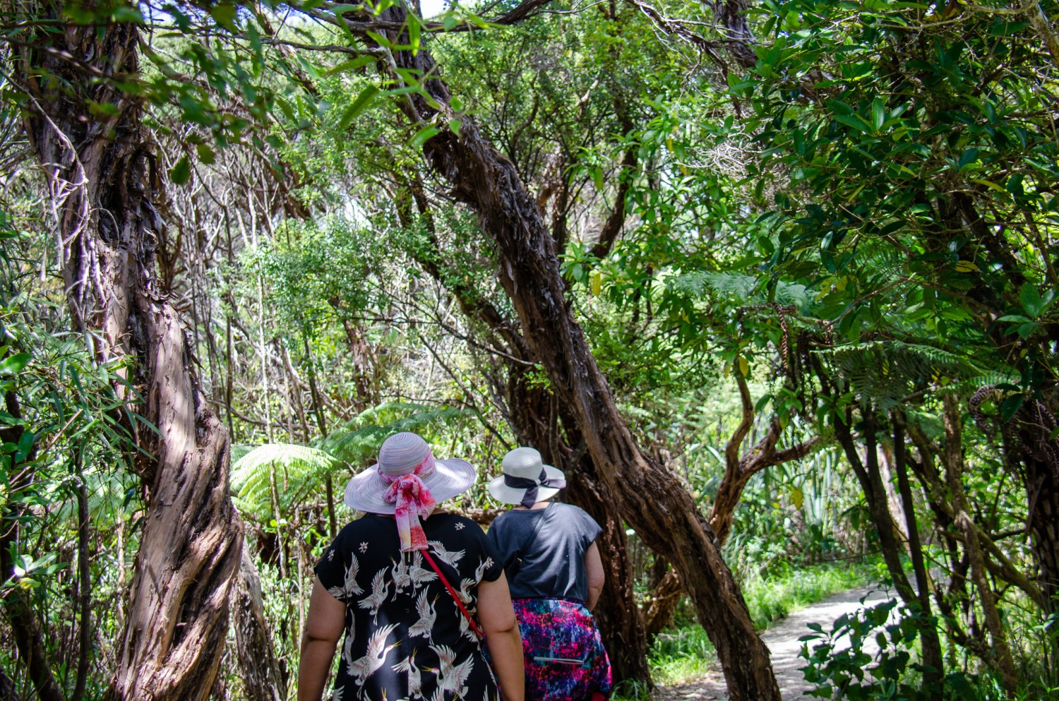 Mercer Bay Loop Walk – Cliff Top Walk with Great Views – Life With Janet