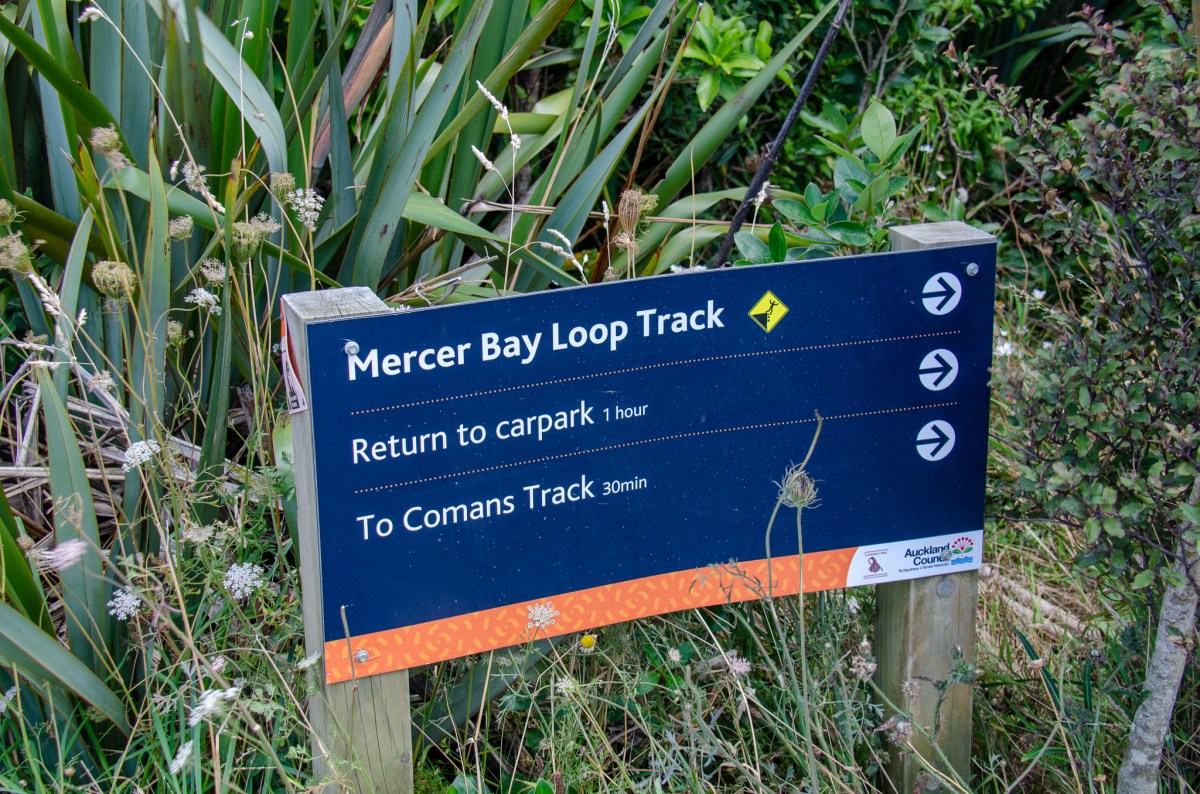 Mercer Bay Loop Walk – Cliff Top Walk with Great Views – Life With Janet