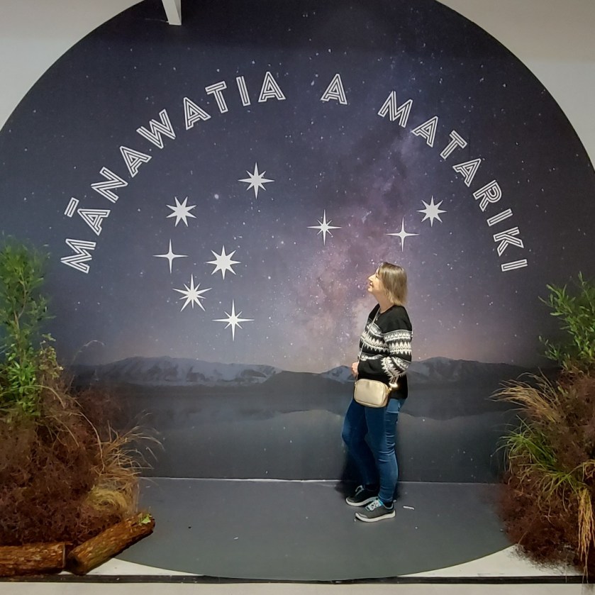 Black Doris Plum Cheesecake With Gingernut Base – Life With Janet