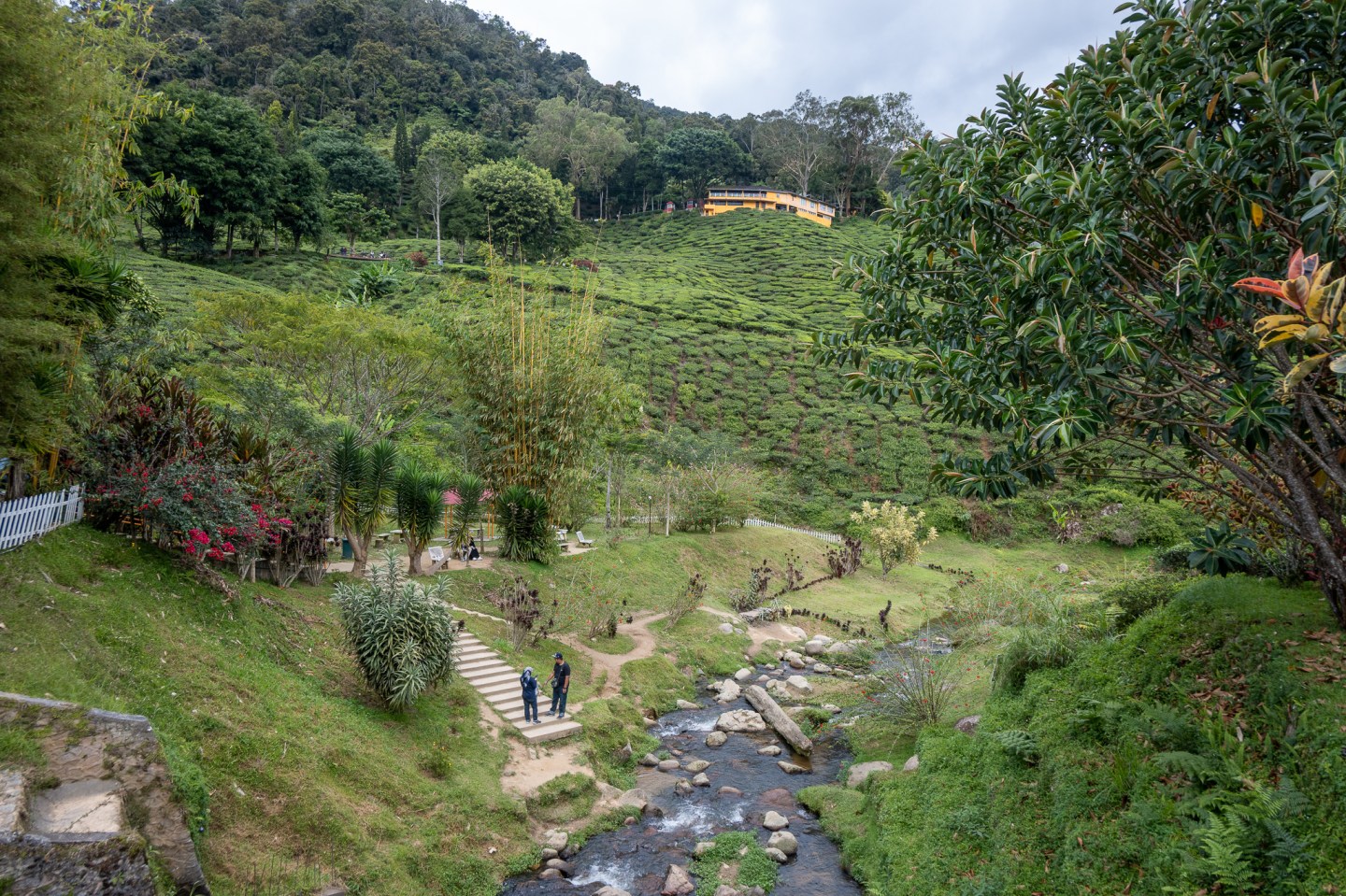 Cameron Highlands Malaysia: Tea Plantations, Gardens, and Scenic Spots ...